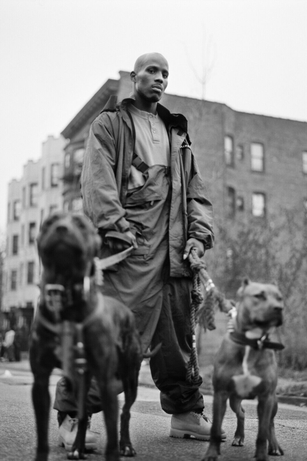 Poster - Dmx Album Cover Art Hip-hop Music Poster Rap Artist Music ...