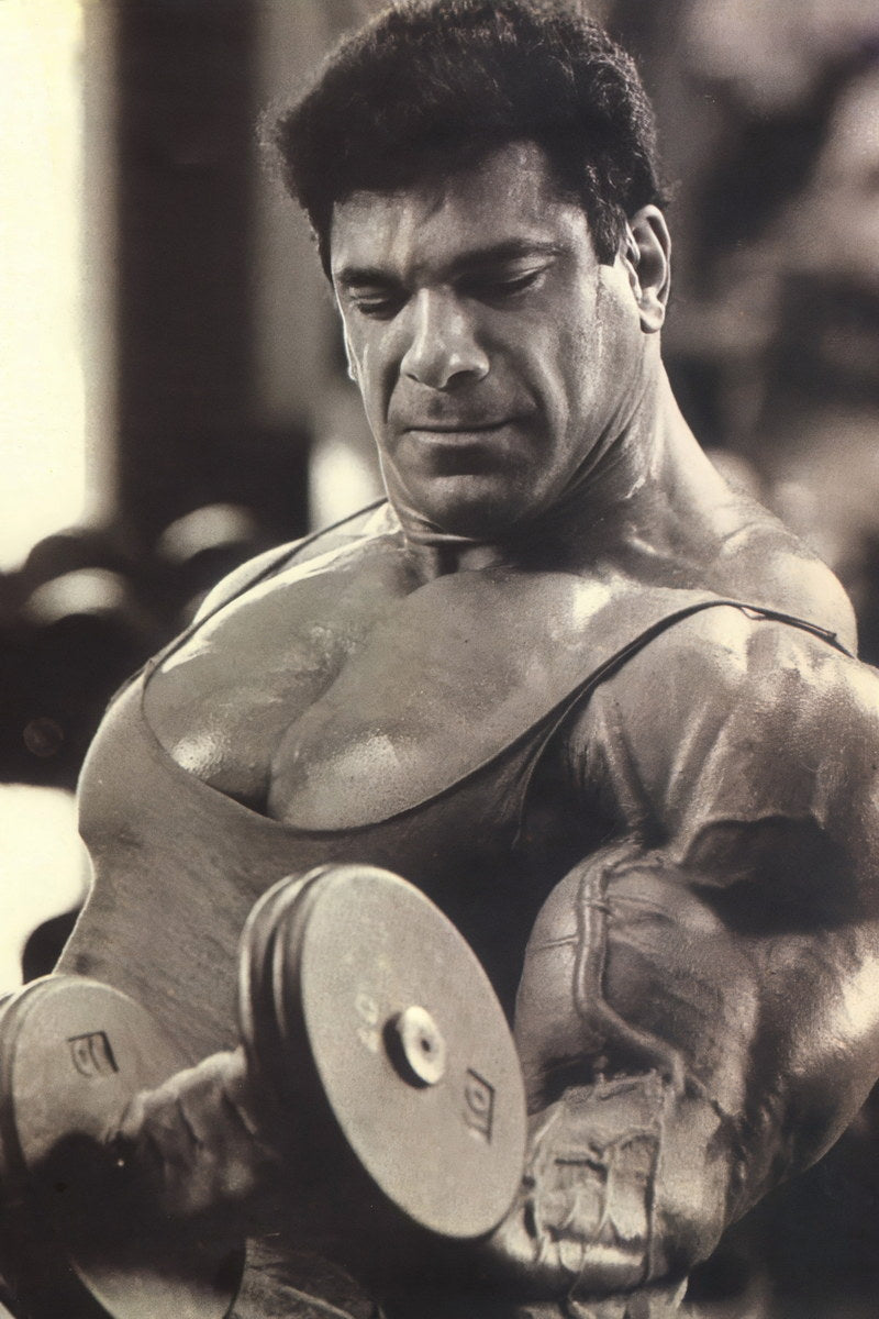 Poster - Lou Ferrigno Black And White Famous Oldschool Bodybuilder ...