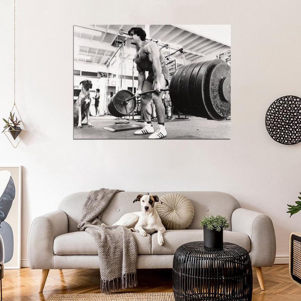 Franco Columbu Bodybuilding Muscle Exercise Gym Wall Print Poster ...
